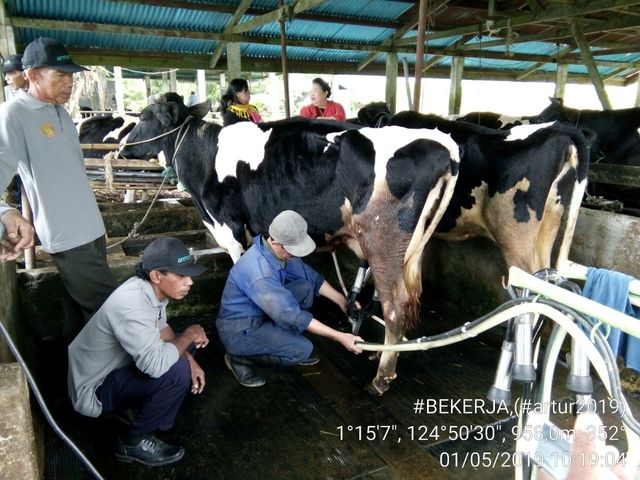 Peserta Program CSR PT. Antam Halmahera Timur Tertarik Kembangkan ...