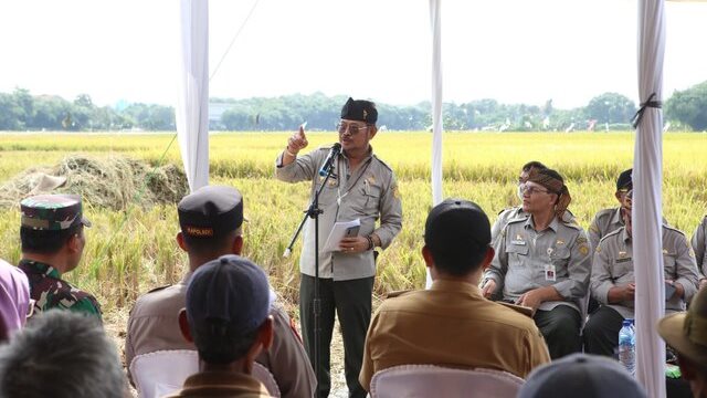 Masuk Masa Panen Raya di Sentra Produksi Beras Jawa Barat - Pilar Pertanian Masuk Masa Panen Raya di Sentra Produksi Beras Jawa Barat - Pilar Pertanian